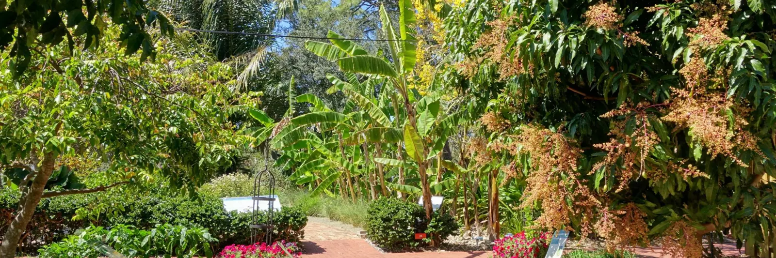 Florida-Friendly Landscaping | Hernando County