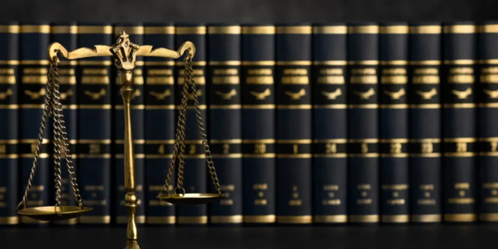 County Government | Hernando County